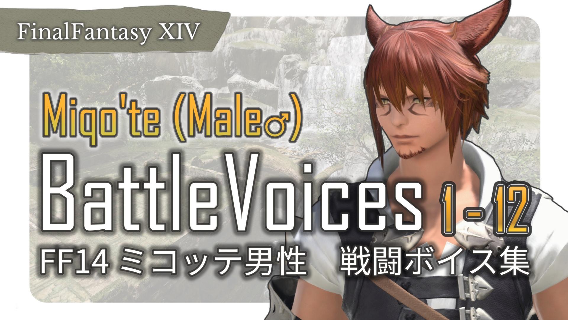 【FF14】ミコッテ男性 戦闘ボイス1~12サンプル集 Male Miqo’te Battle Voices | INUISM