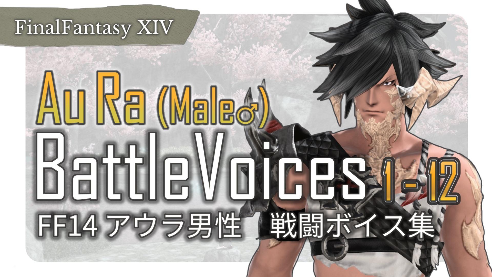【FF14】アウラ男性 戦闘ボイス1~12サンプル集（Patch5.1対応） Male AuRa Battle Voices | INUISM